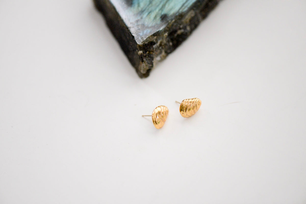 Ocean Shell Studs - Oyster Shell, Mussel Shell Jewelry – Porcelain and Stone